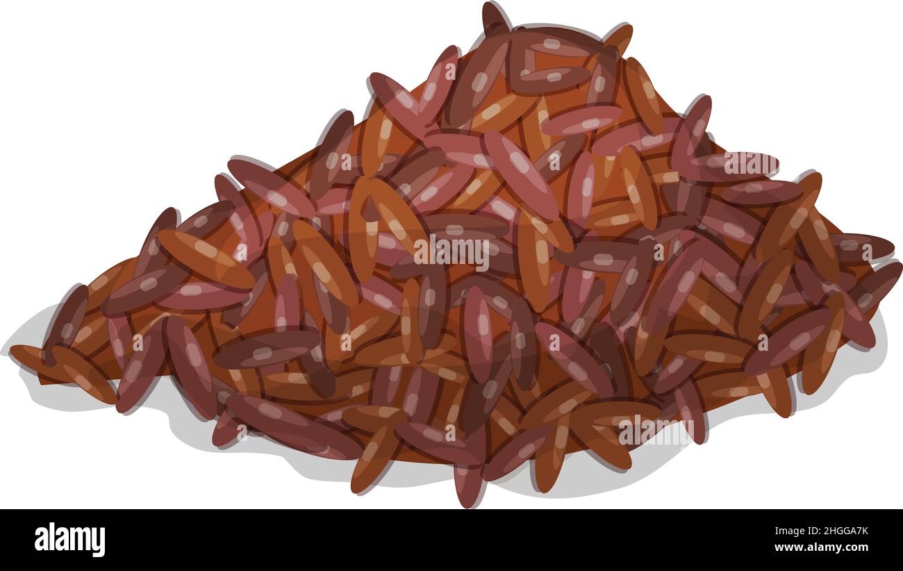 Brown rice icon cartoon vector. Healthy grain. Natural seed Stock ...