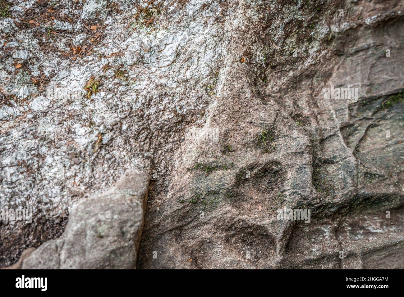 Human stone working from the prehistoric times of the German ancestors ...