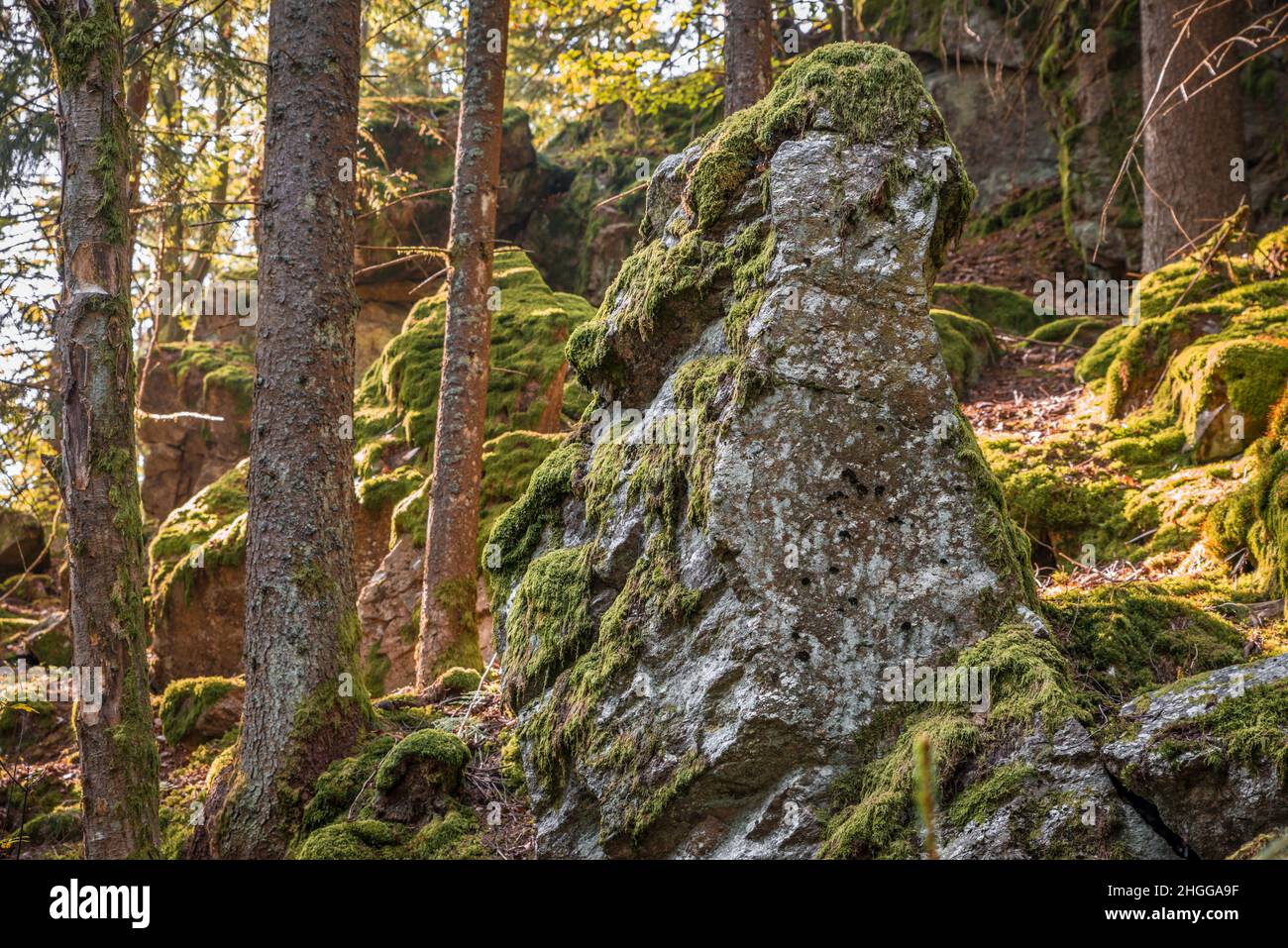 Large weathered granite rock in the shape of a human head with eyes ...