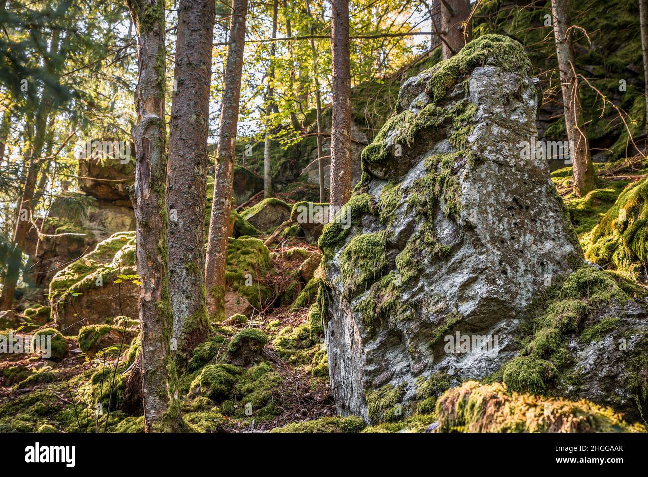 Large weathered granite rock in the shape of a human head with eyes ...