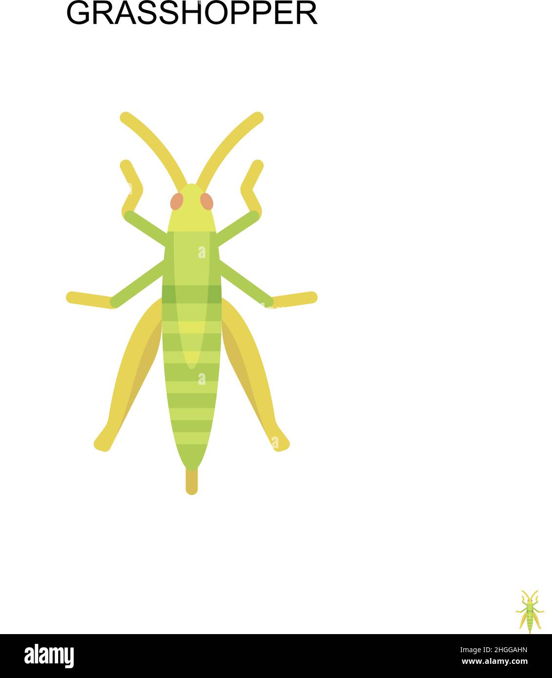 Grasshopper Simple vector icon.Perfect color modern pictogram on ...