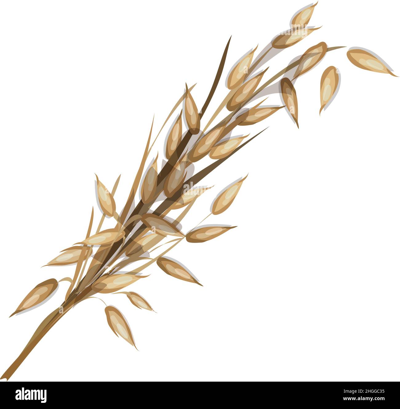 Dry spike of rice icon cartoon vector. Wild plant. Farm food Stock ...