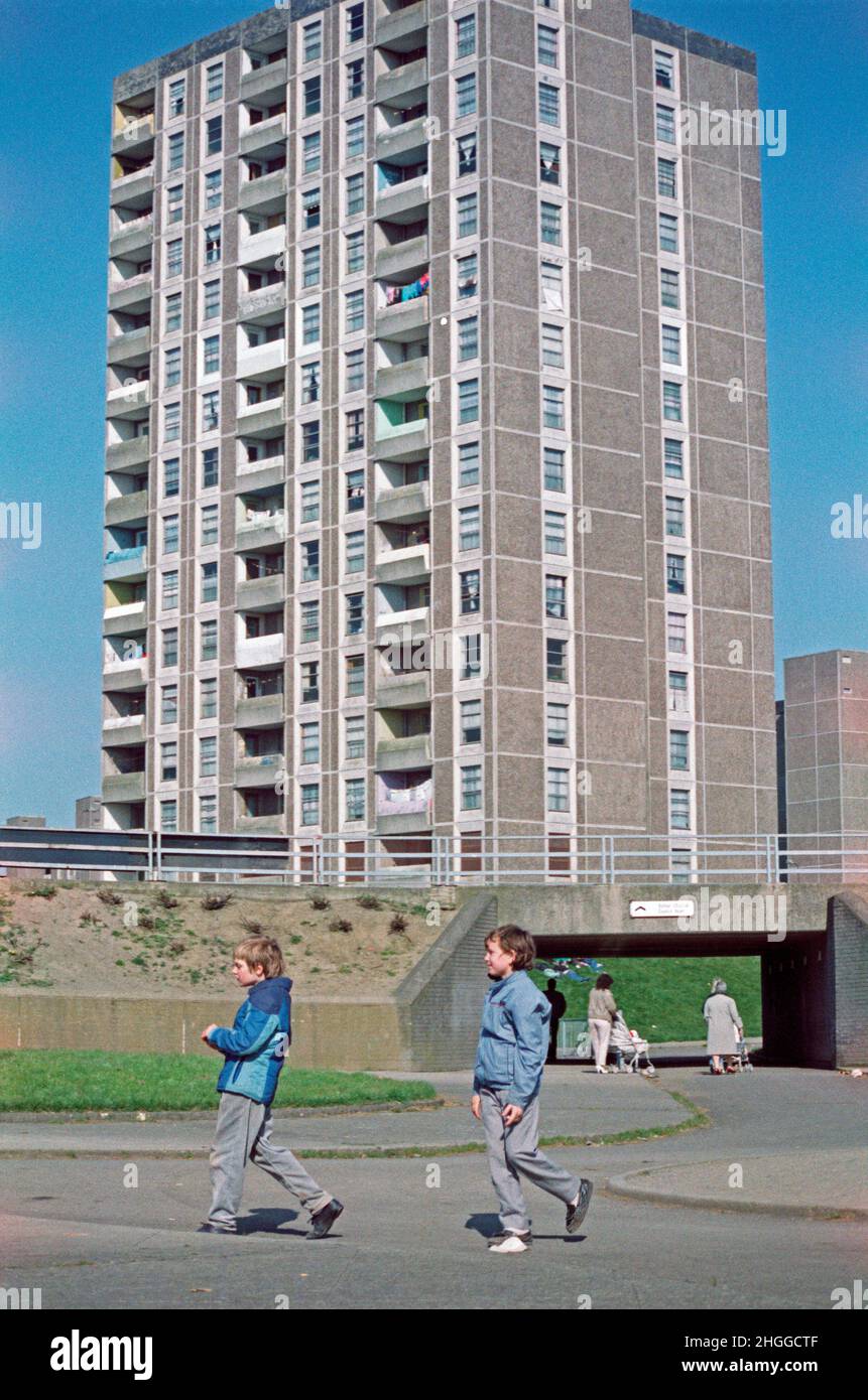 Boys block tower building children hi-res stock photography and images ...