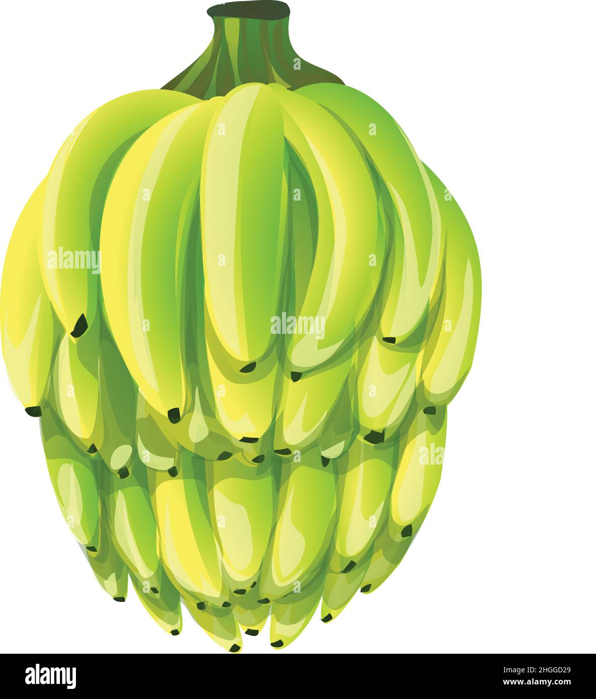 Bunch of bananas icon cartoon vector. Fruit plant. Tropical food Stock ...
