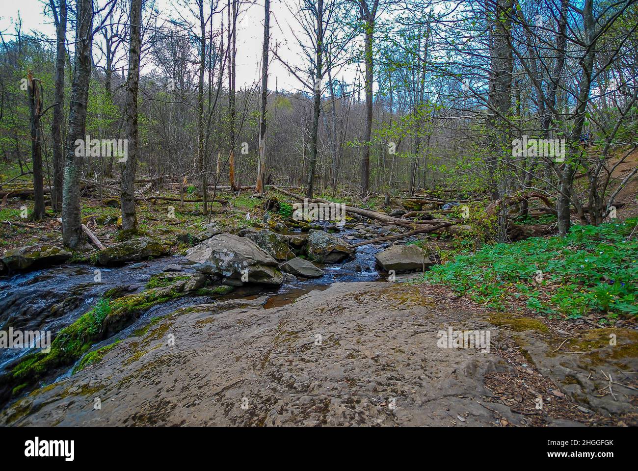 Side view of a beautiful small waterfall and pool in the mountains ...