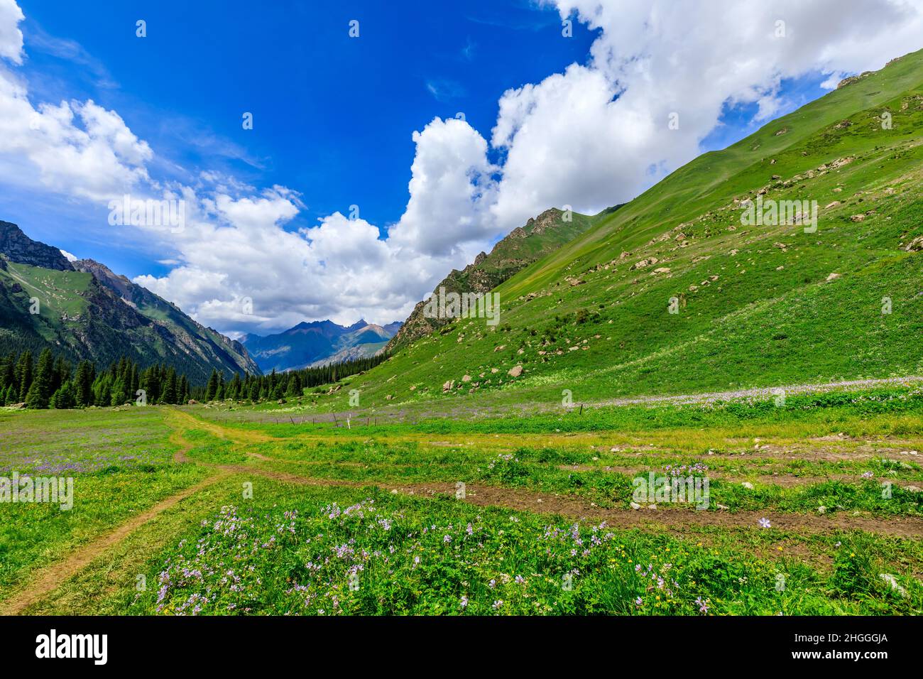 Xinjiang county hi-res stock photography and images - Alamy