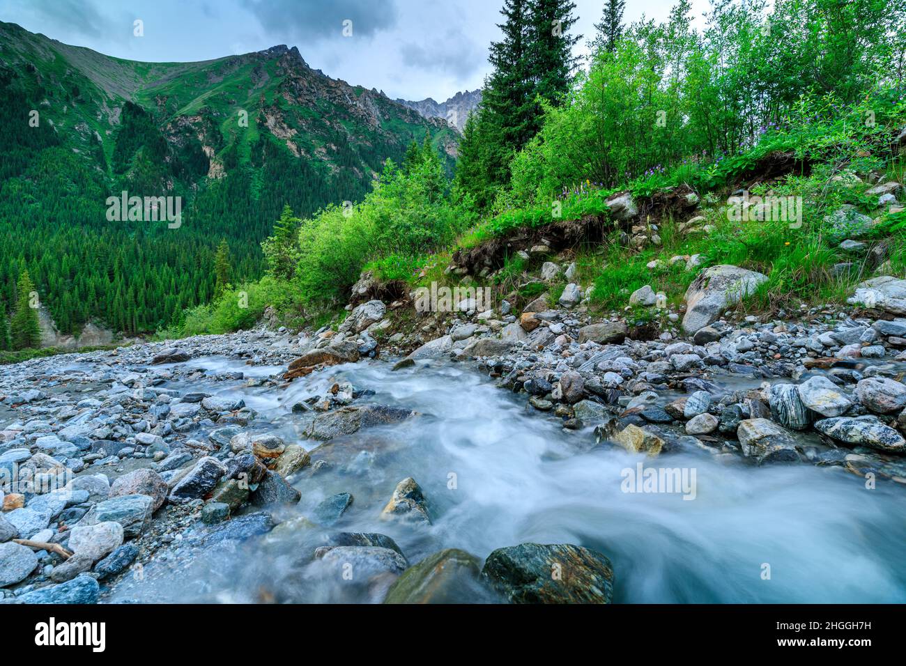 Clean spring water flowing down from the mountain Stock Photo - Alamy