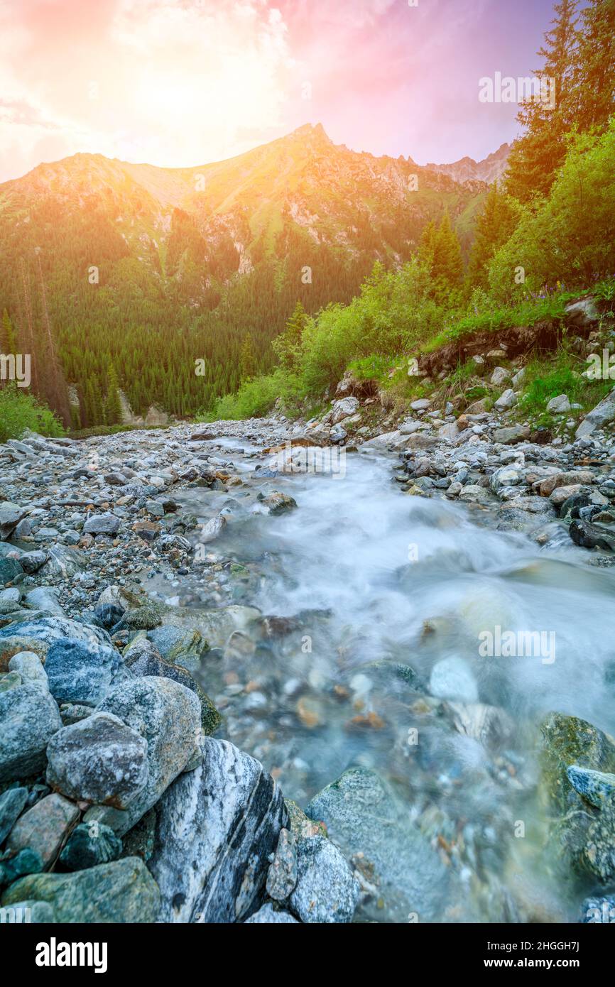Clean spring water flowing down from the mountain Stock Photo - Alamy