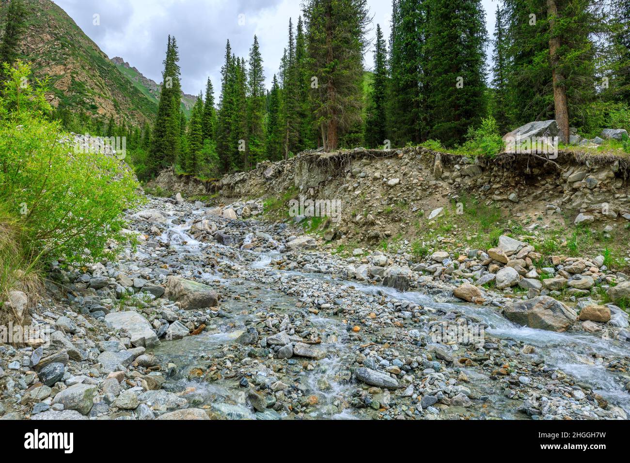 Clean spring water flowing down from the mountain Stock Photo - Alamy