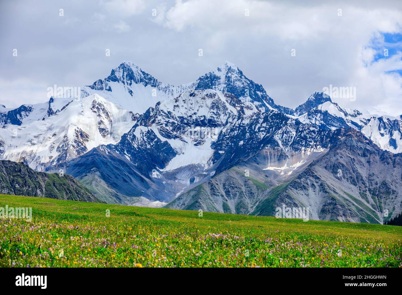 White glaciers and green grasslands in the Tianshan Mountains,Xinjiang ...