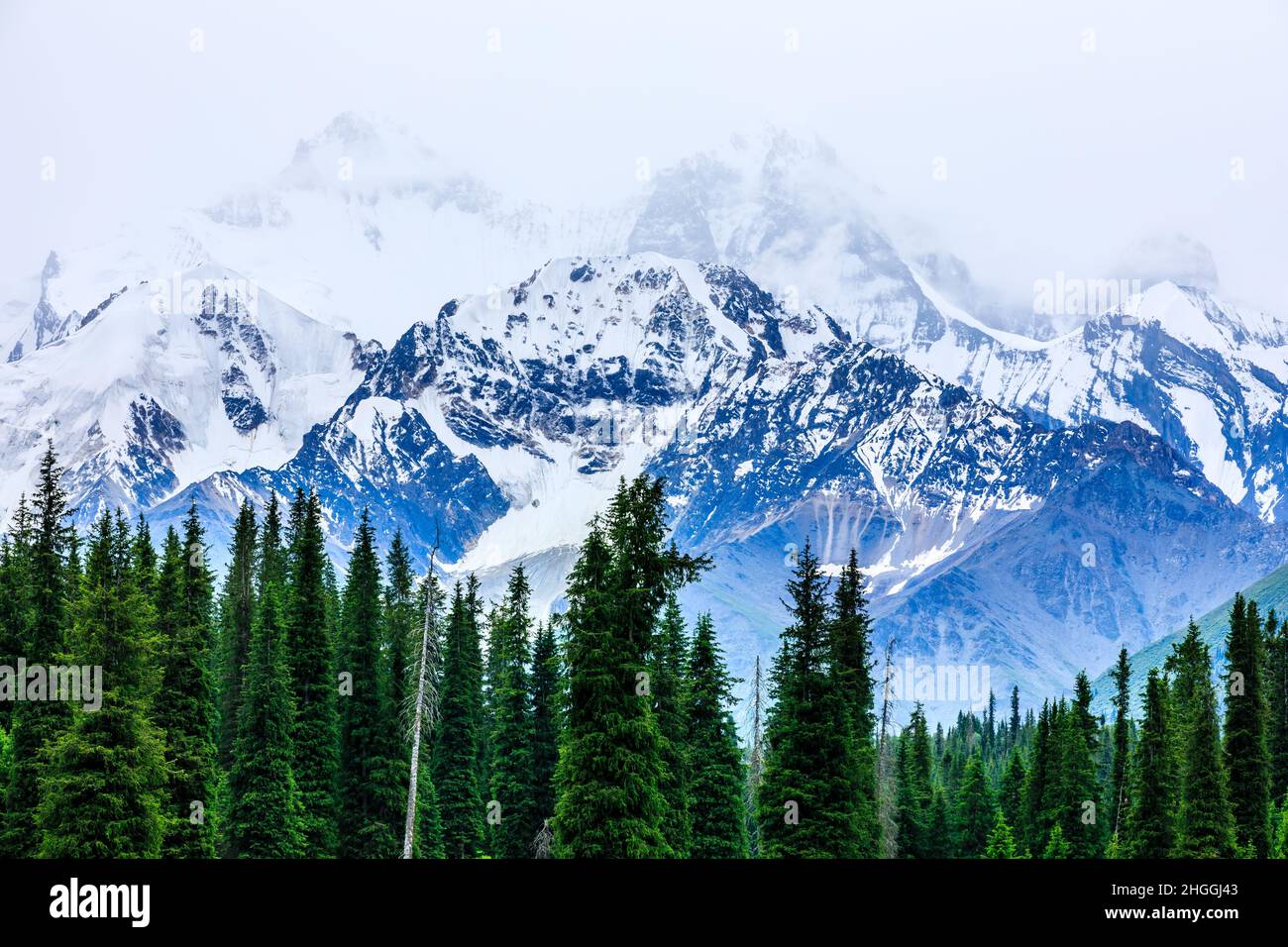 White glaciers and green forest in the Tianshan Mountains,Xinjiang ...
