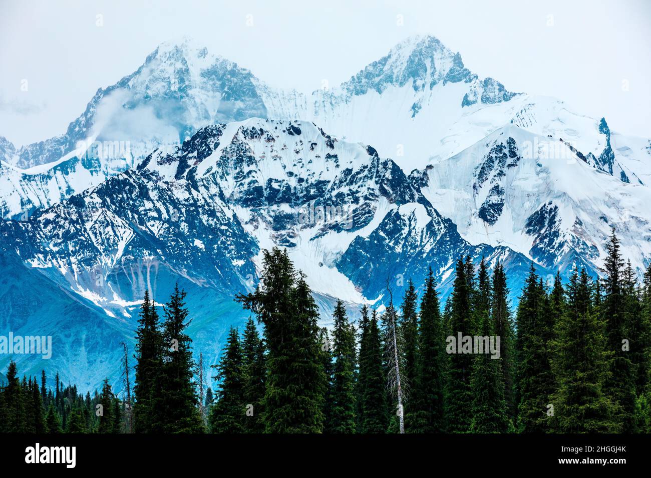 White glaciers and green forest in the Tianshan Mountains,Xinjiang ...