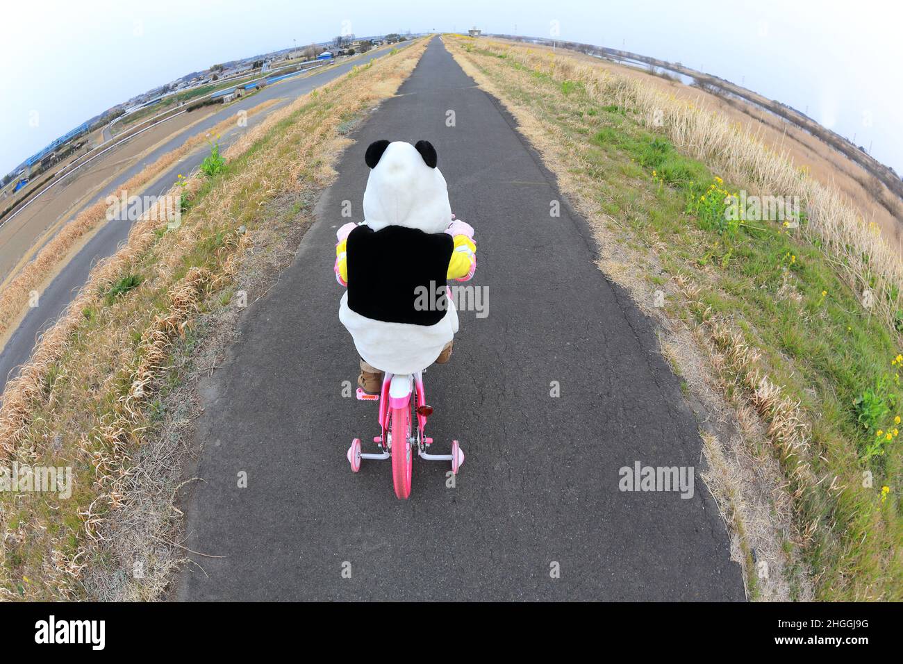 Hard candy bicycle hi-res stock photography and images - Alamy