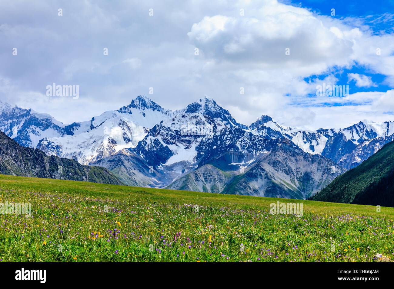 White glaciers and green grasslands in the Tianshan Mountains,Xinjiang ...
