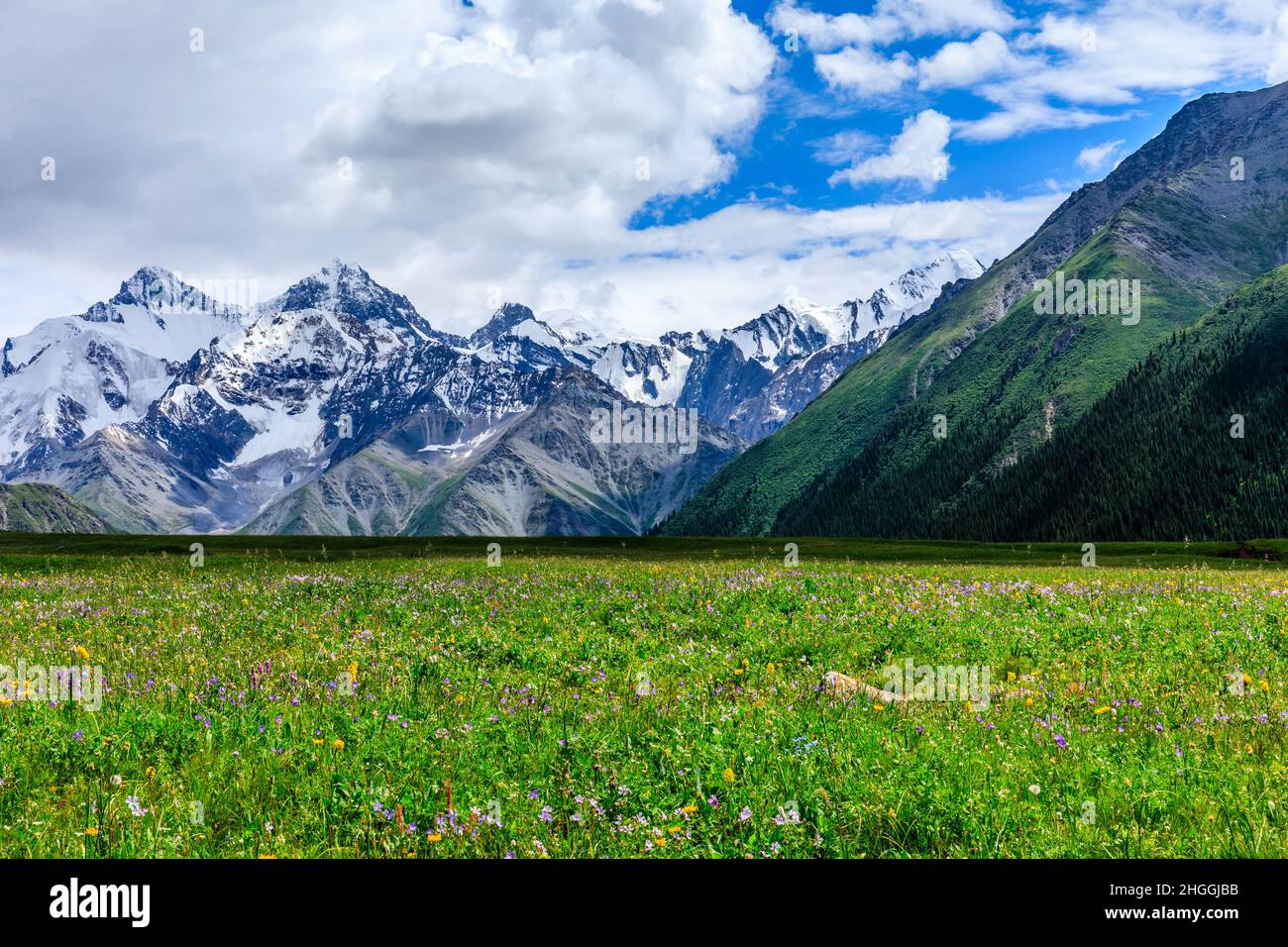 White glaciers and green grasslands in the Tianshan Mountains,Xinjiang ...
