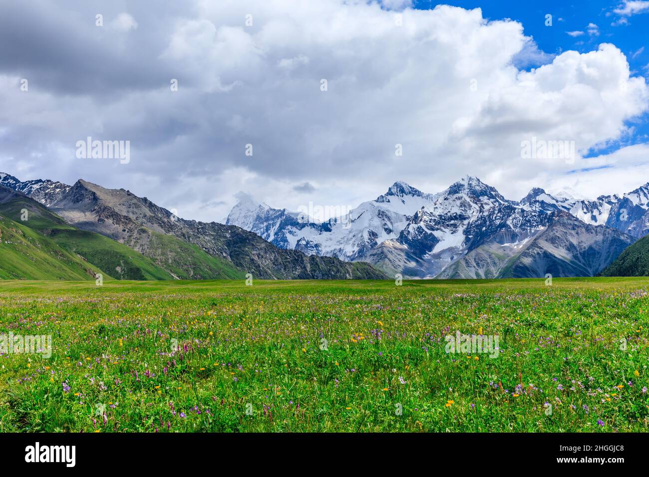 White glaciers and green grasslands in the Tianshan Mountains,Xinjiang ...