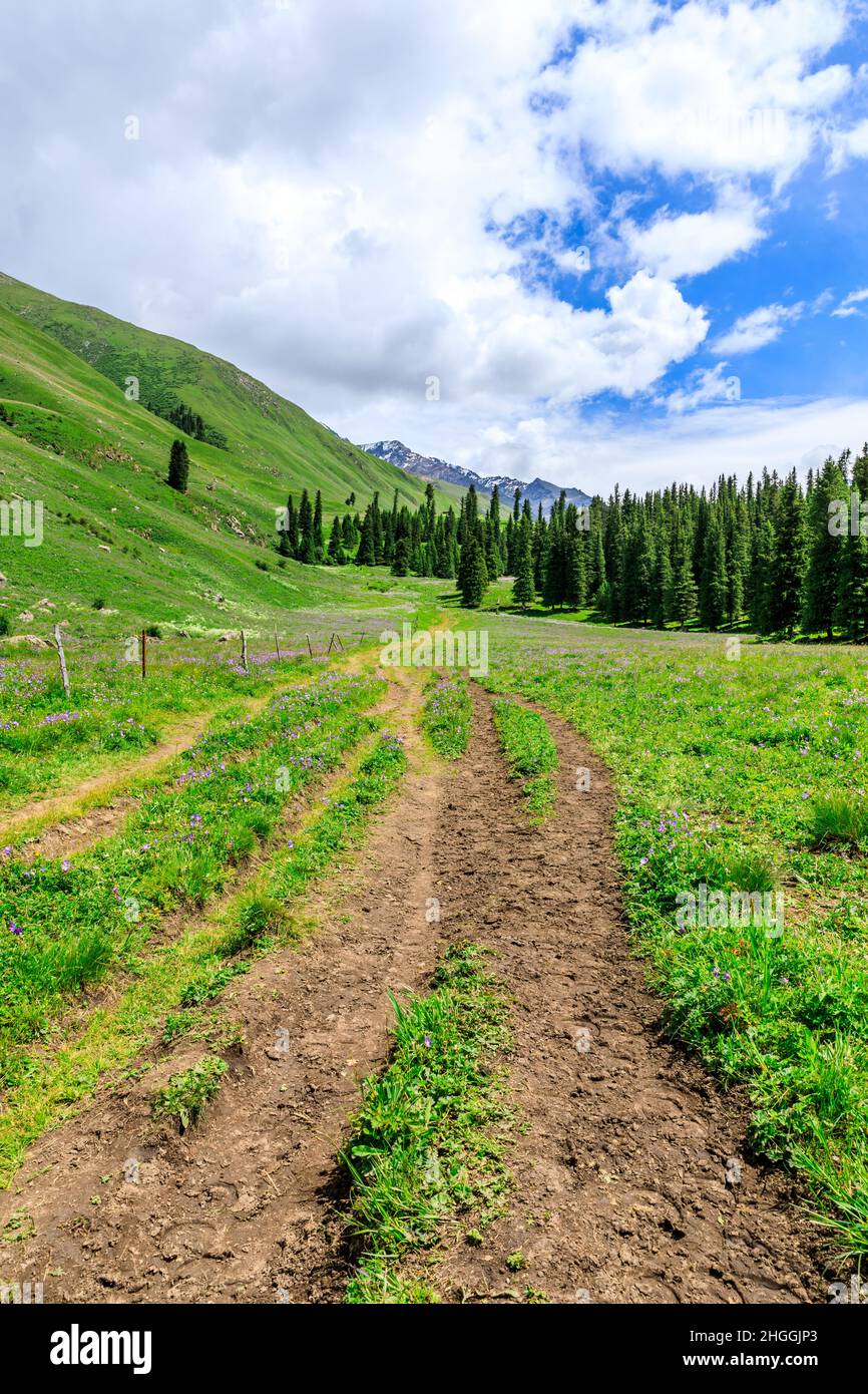 A walking path leads to distant mountains.beautiful natural scenery in ...