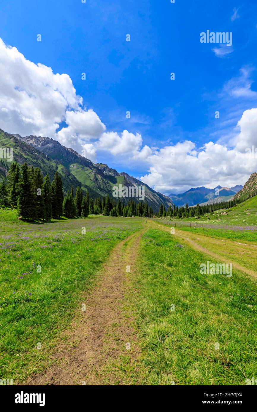 A walking path leads to distant mountains.beautiful natural scenery in ...