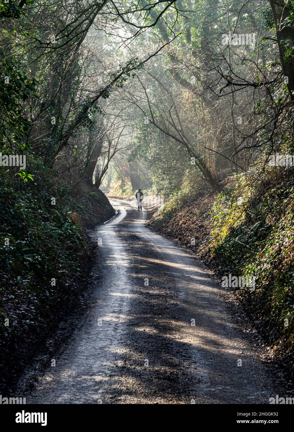 Man walking down a Country lane in Sussex Stock Photo - Alamy