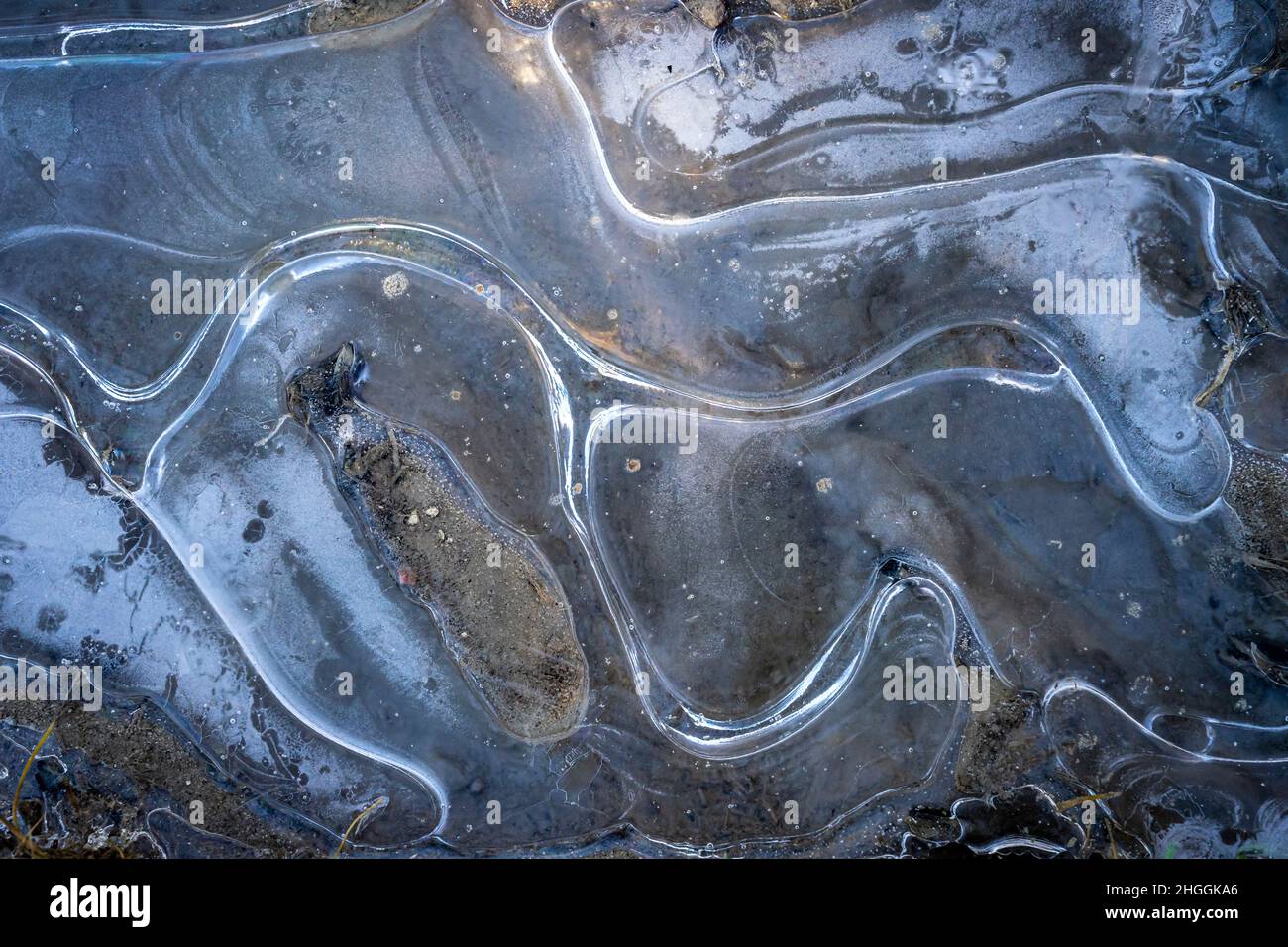 Patterns of ice on a frozen puddle Stock Photo - Alamy