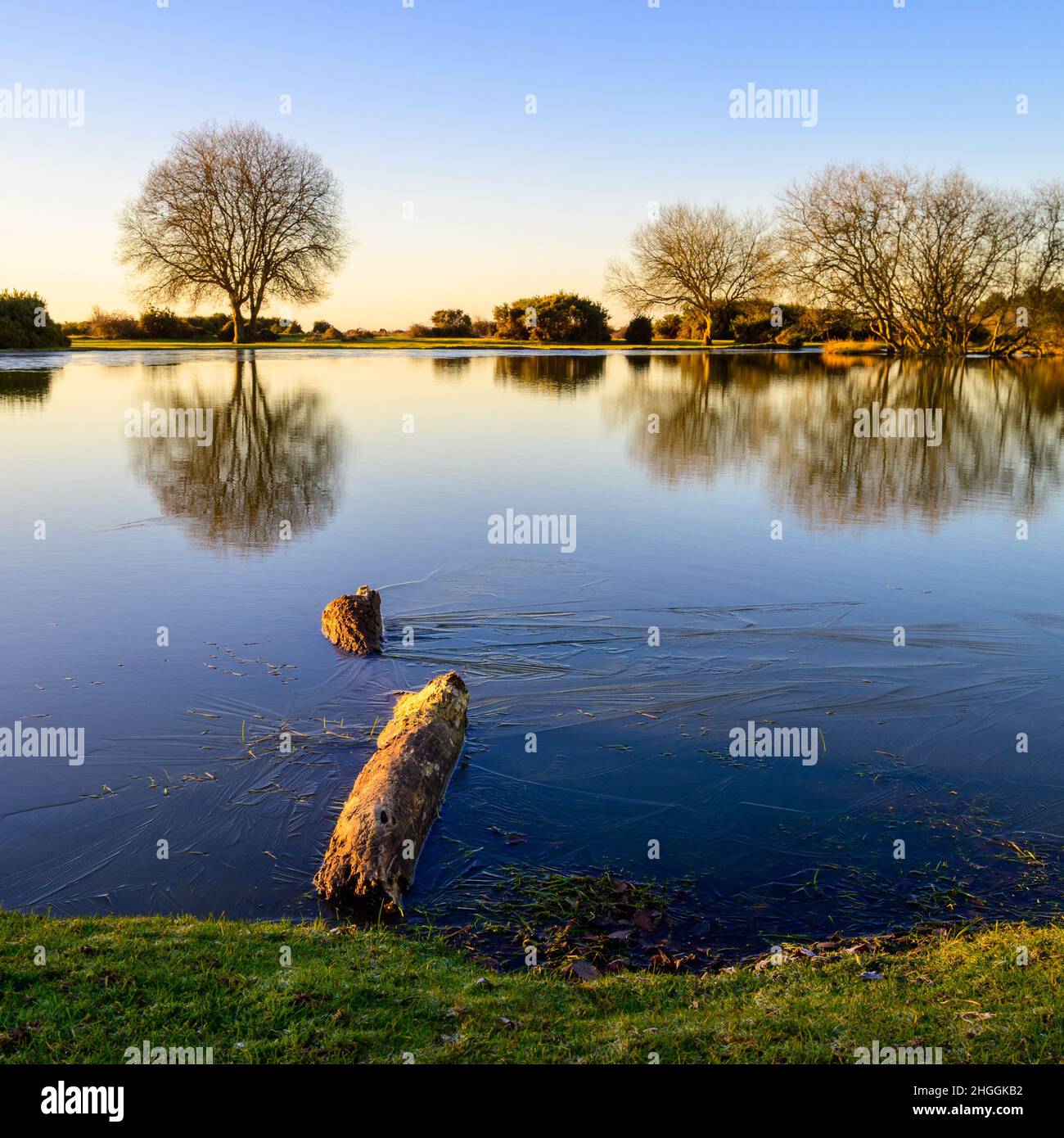 Fritham, New Forest, Hampshire, UK, 21st January 2022, Weather: Ice ...
