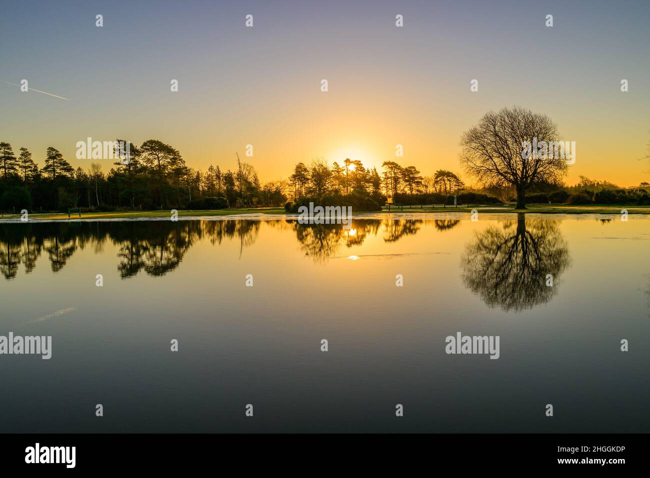 Fritham, New Forest, Hampshire, UK, 21st January 2022, Weather: Ice ...
