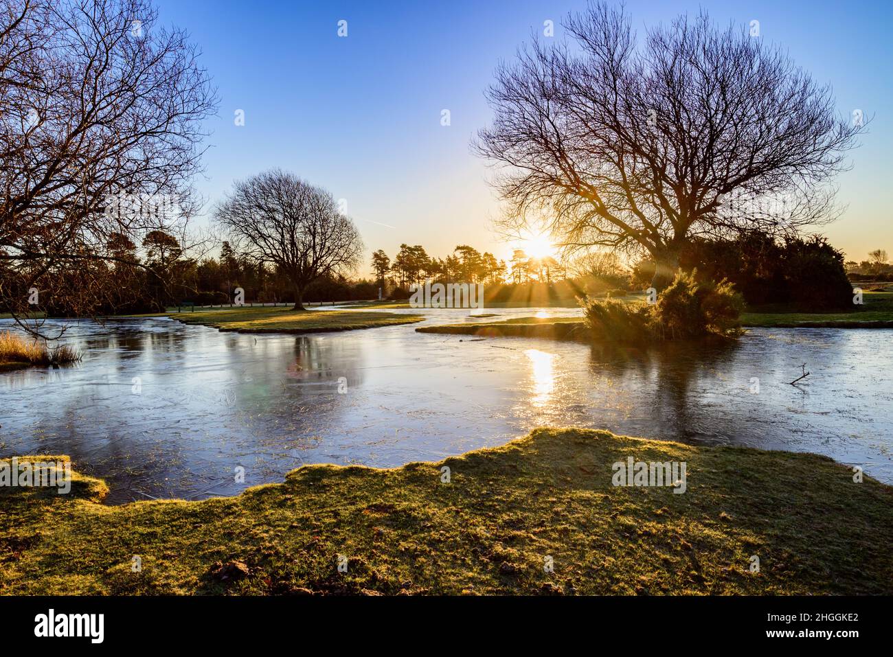 Fritham, New Forest, Hampshire, UK, 21st January 2022, Weather: Ice ...