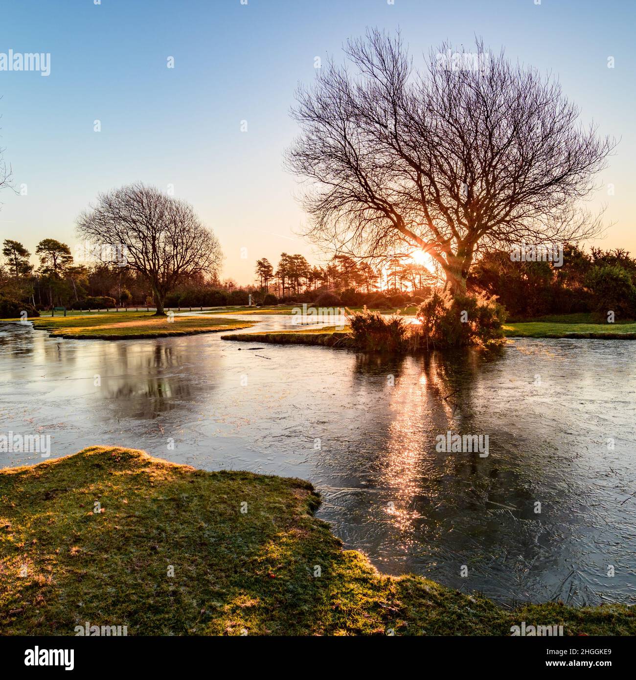 Fritham, New Forest, Hampshire, UK, 21st January 2022, Weather: Ice ...