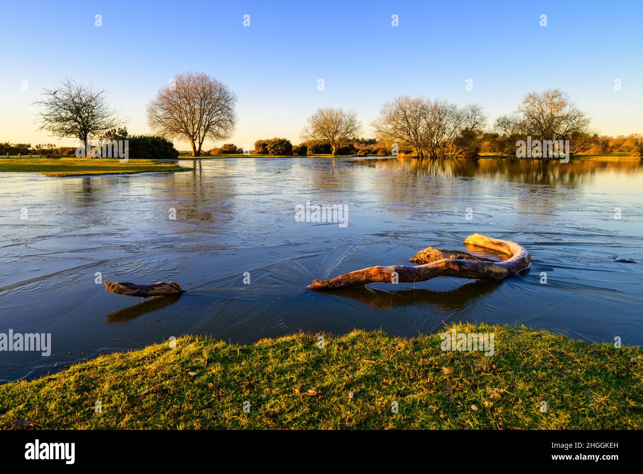 Fritham, New Forest, Hampshire, UK, 21st January 2022, Weather: Ice ...