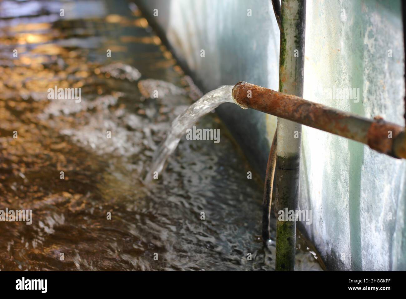 Fresh water flowing out of a rustic pipe into a tank Stock Photo - Alamy