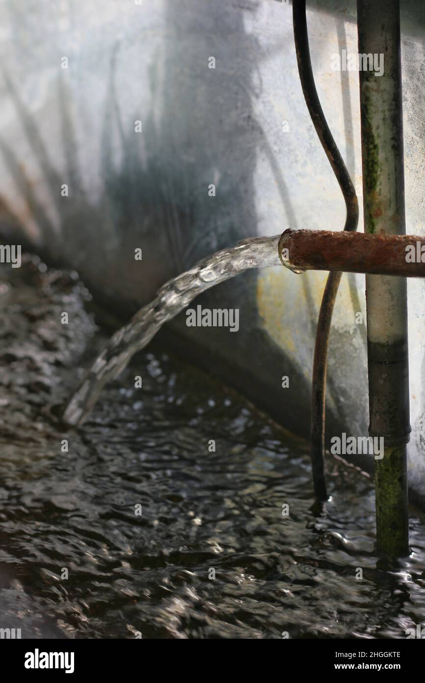 Fresh water flowing out of a rustic pipe into a tank Stock Photo - Alamy