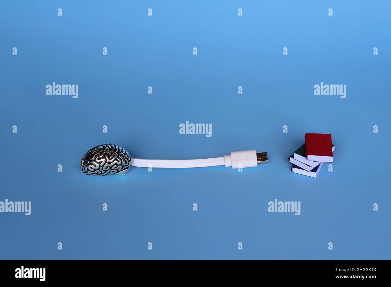 Study, learning, knowledge transfer concept. White cable, brain model ...