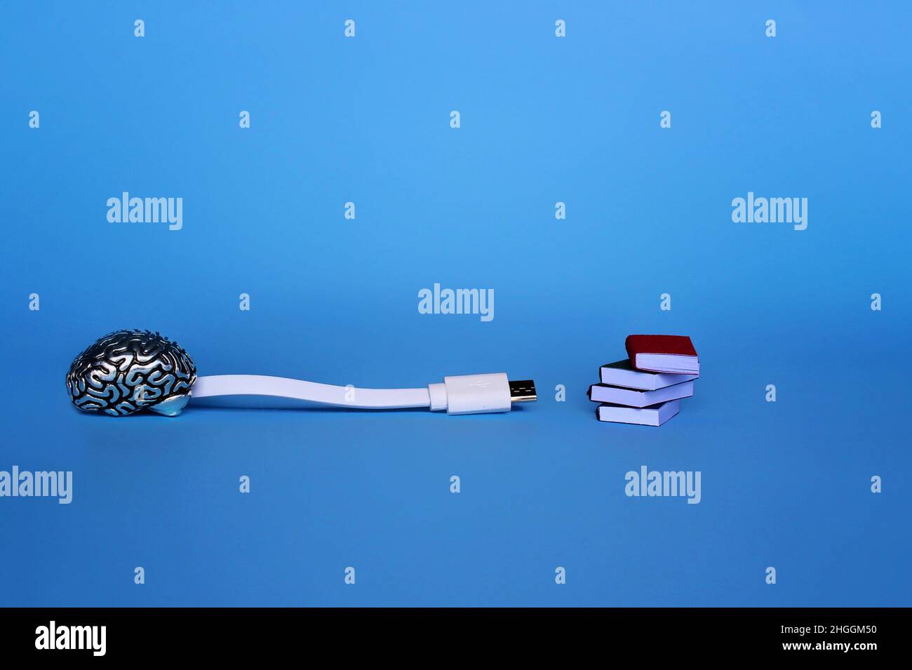Study, learning, knowledge transfer concept. White cable, brain model ...