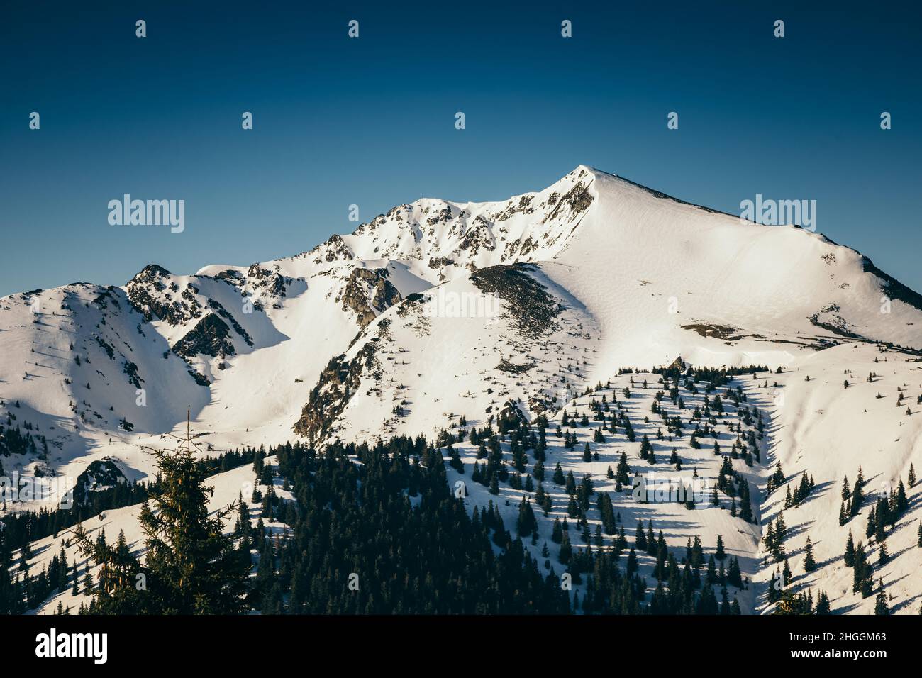 Winter mountains snow, coniferous forest, spring, snow-capped peak ...