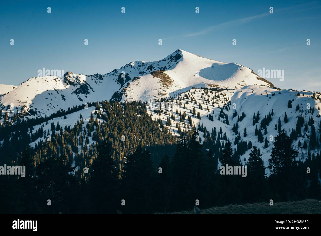 Snow-capped mountains and coniferous forest, winter and spring Stock ...