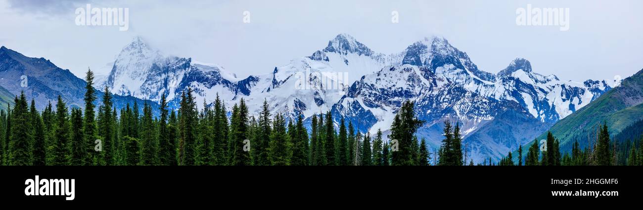 White glaciers and green forest in the Tianshan Mountains range ...
