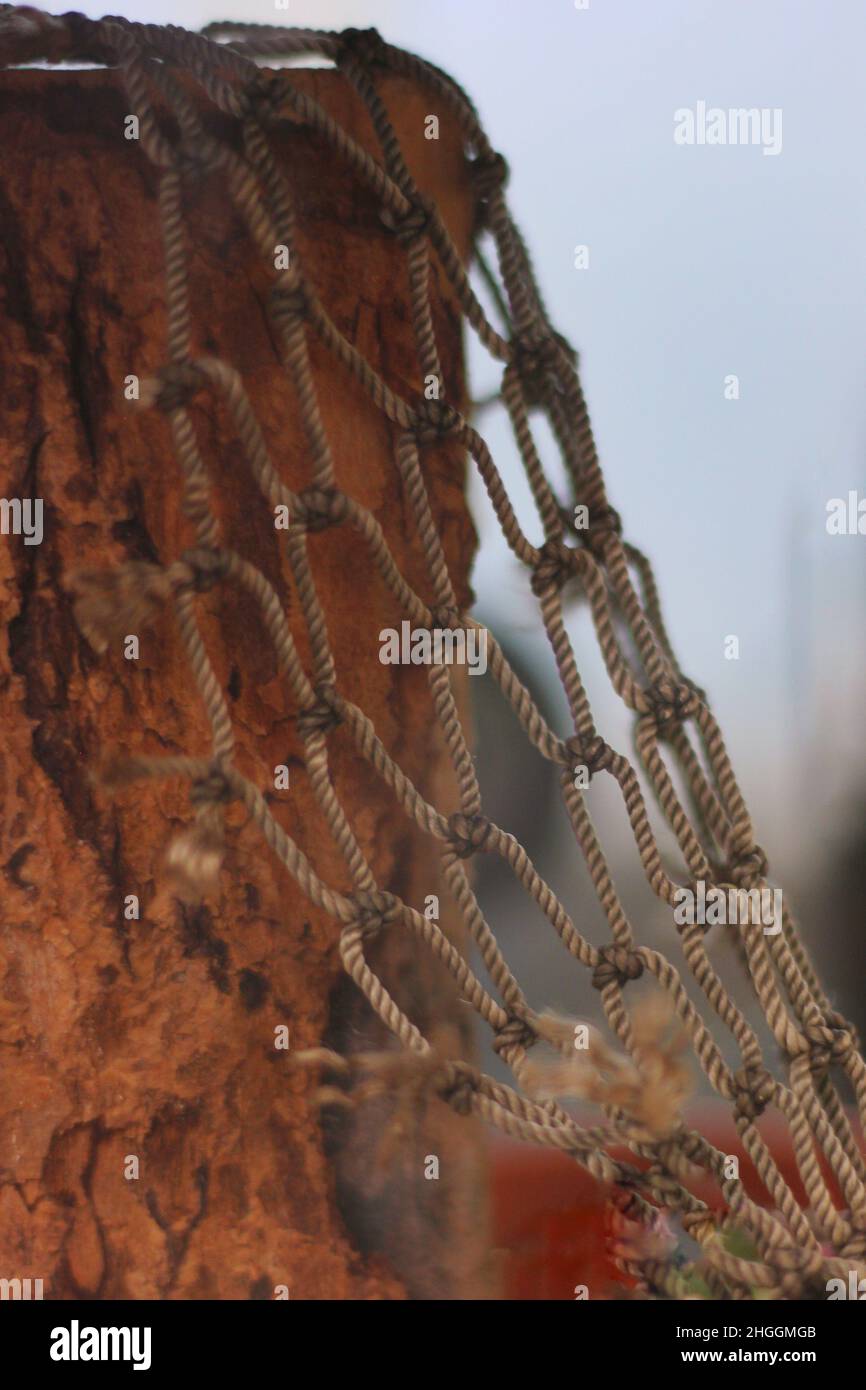 Old ragged rope mesh hanging on a tree stump in an animal cage Stock ...