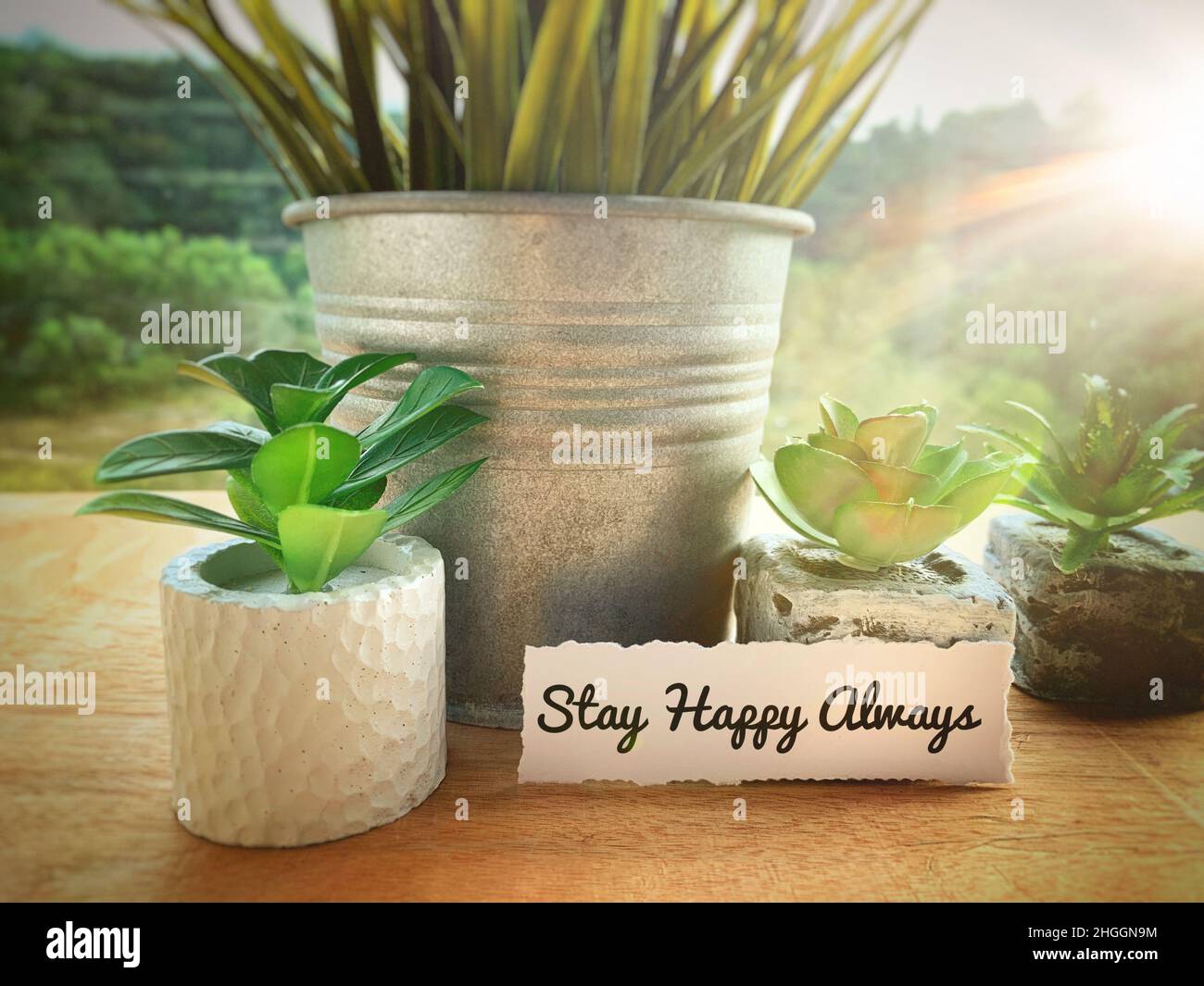 Stay happy always text on torn paper with shining light and plant ...