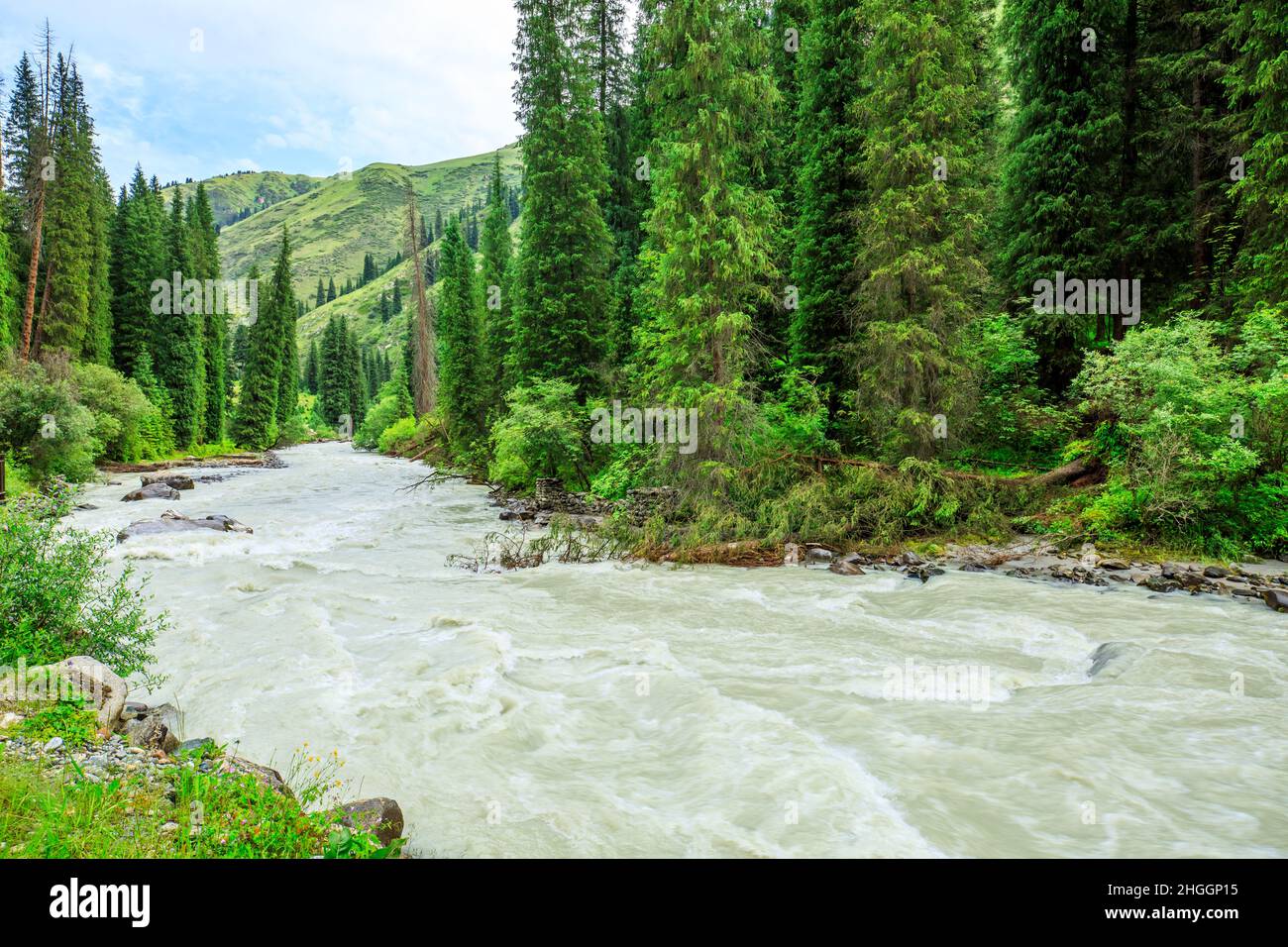 River and green forest with mountain natural landscape in Xinjiang ...