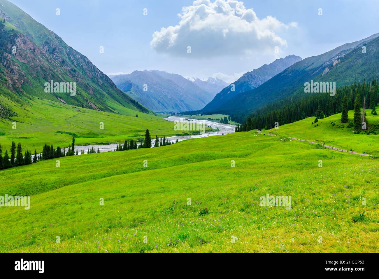 Beautiful green scenery hi-res stock photography and images - Alamy