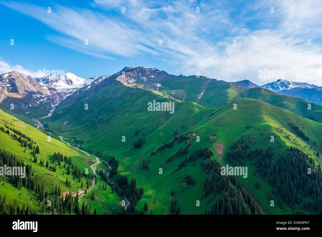 Green grassland and mountain with forest natural landscape in Nalati ...