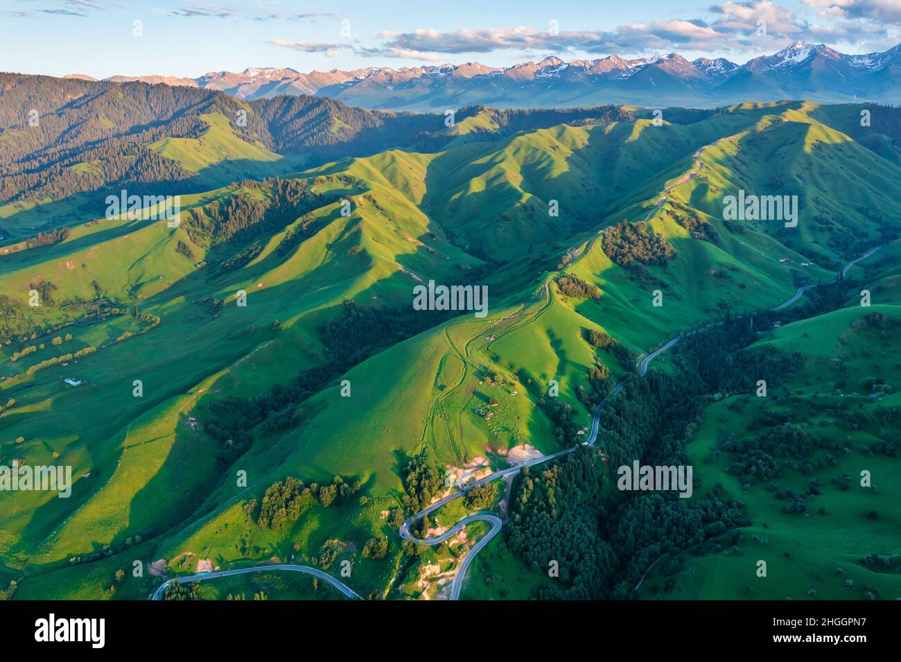Green grassland and mountain natural landscape in Nalati grassland ...