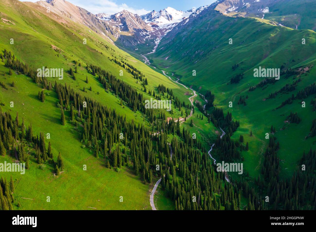 Green grassland and mountain with forest natural landscape in Nalati ...