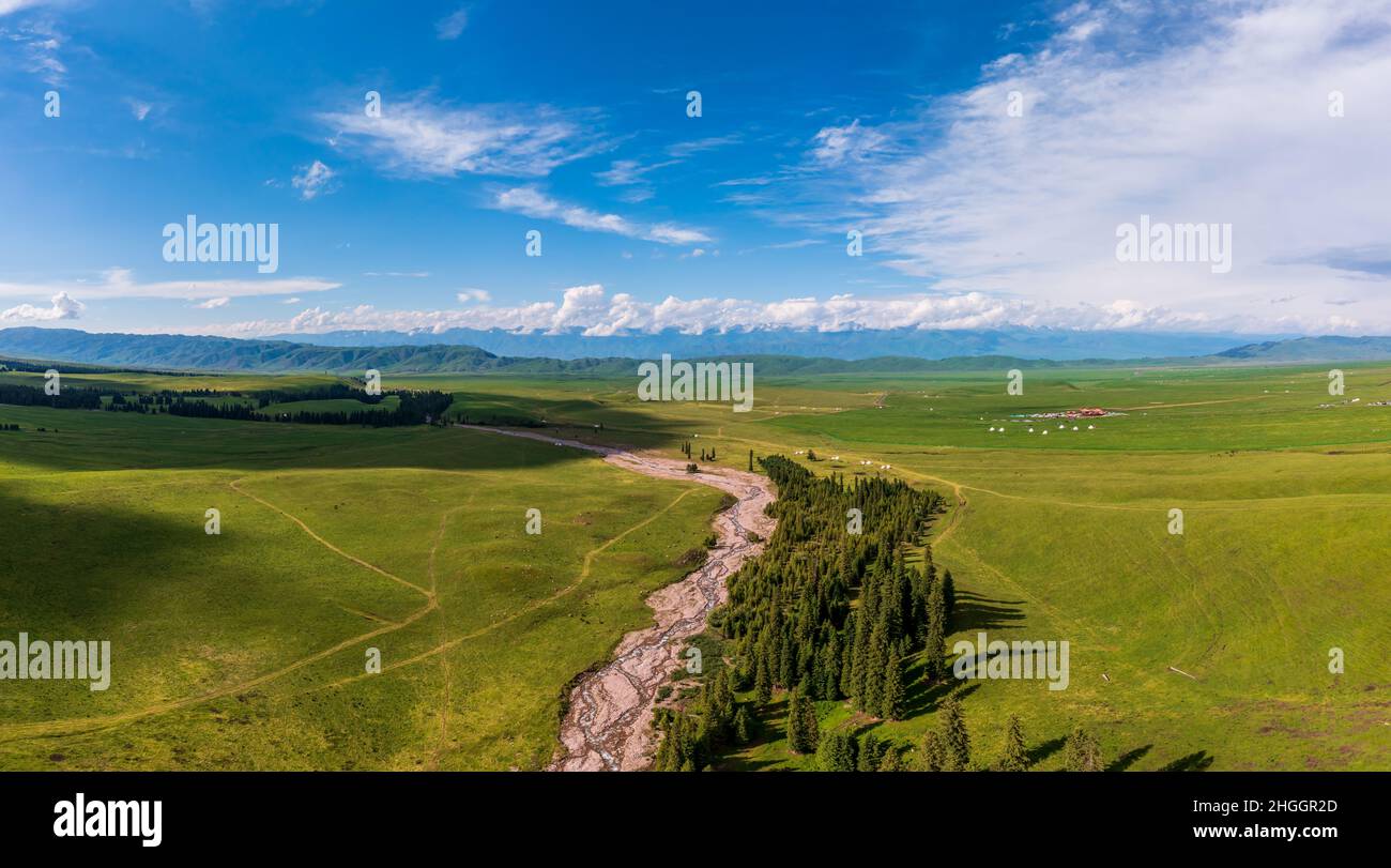 Green grassland and mountain natural landscape in Nalati grassland ...