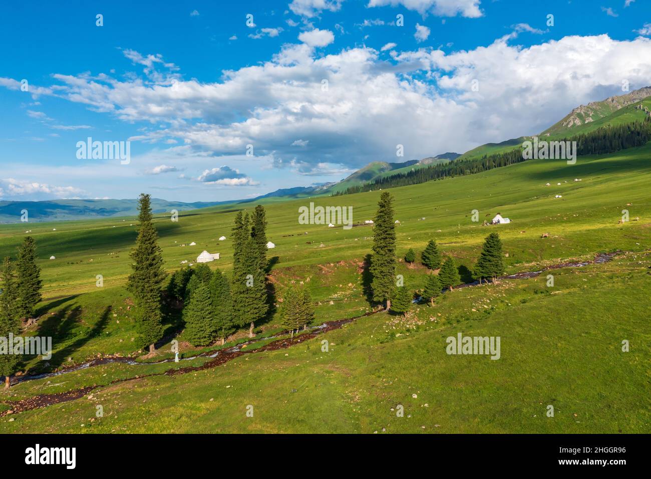 Green grassland and mountain natural landscape in Nalati grassland ...