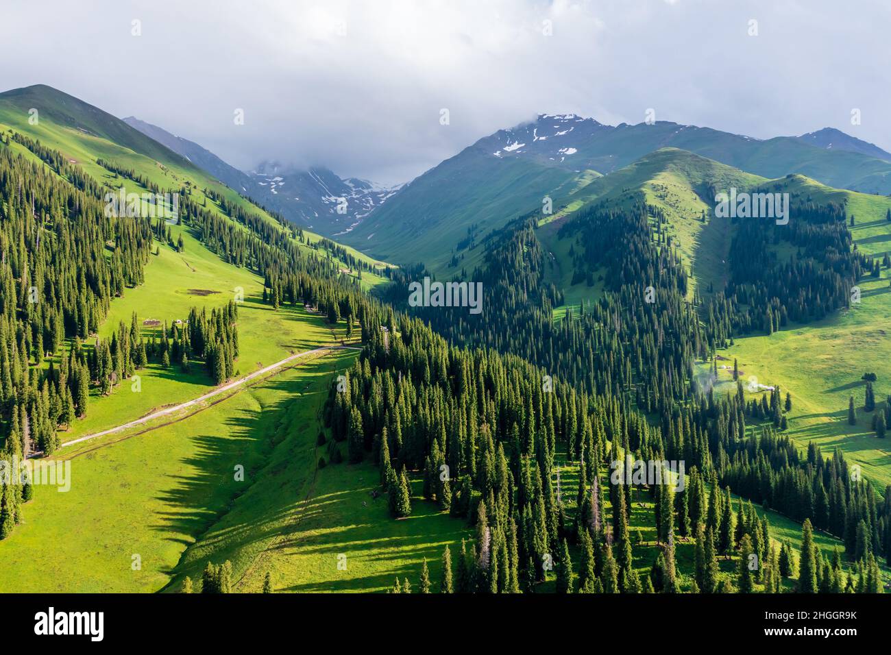 Green grassland and mountain with forest natural landscape in Nalati ...