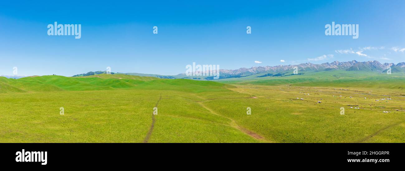 Green grassland and mountain natural landscape in Nalati grassland ...