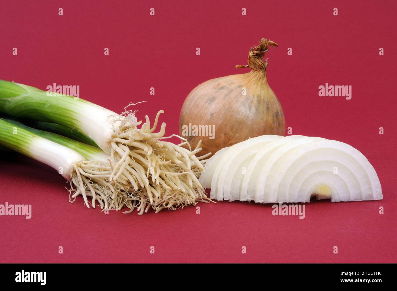 Garden onion, Bulb Onion, Common Onion (Allium cepa), Whole and sliced ...