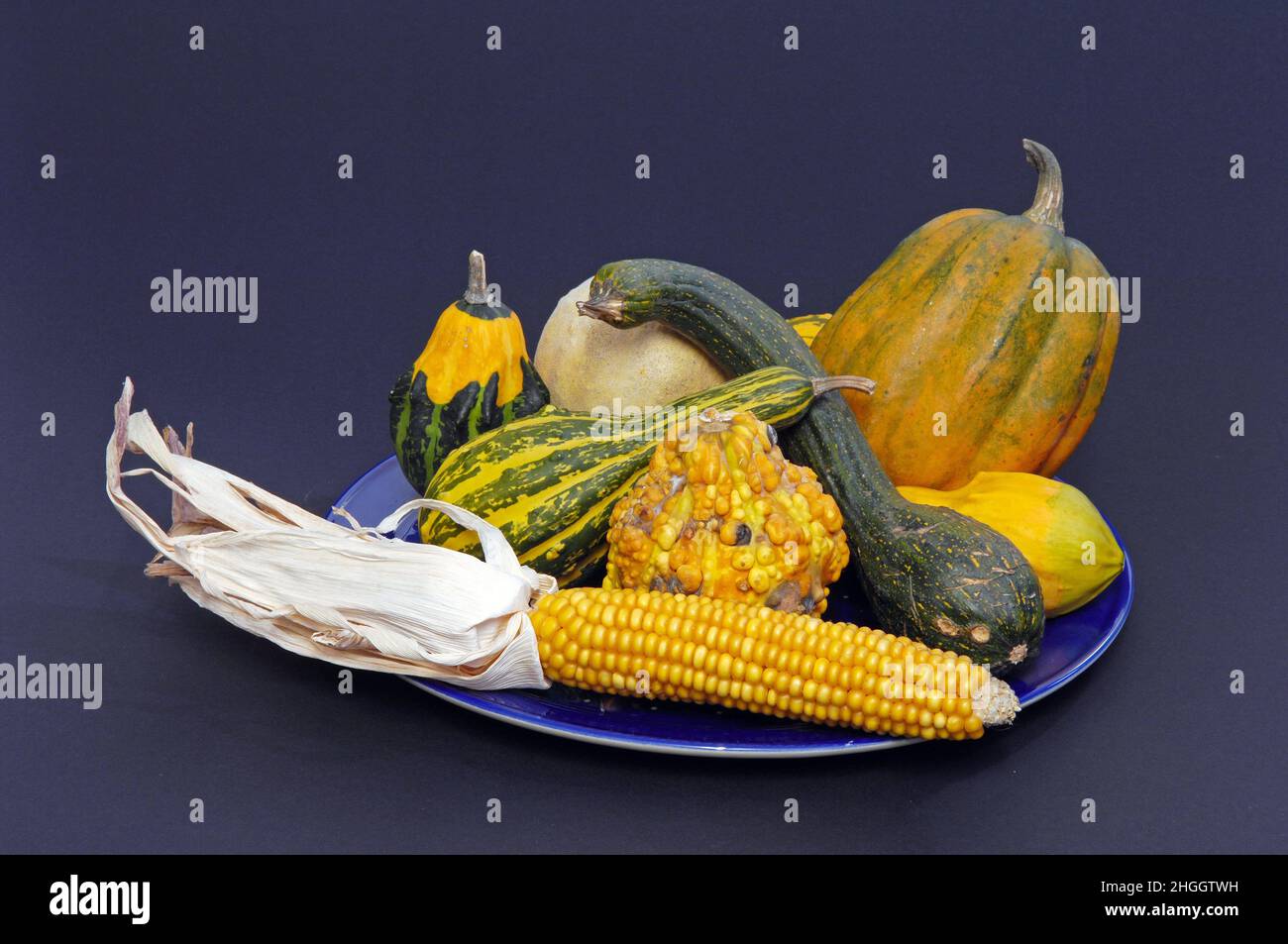 ornamental pumpkin (Cucurbita pepo convar. microcarpina), ornamental ...