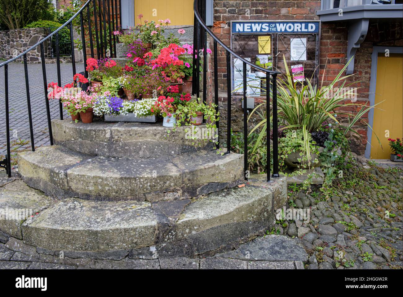 Geraniums lobelia hi-res stock photography and images - Alamy